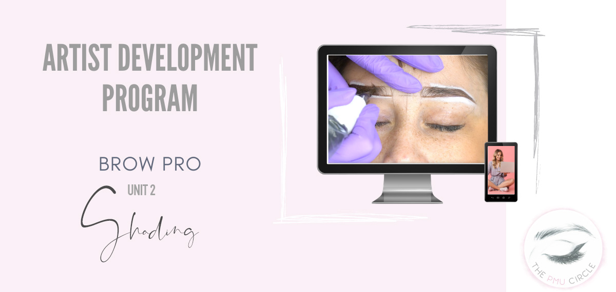 Artist Development Program – Brow Pro Unit 2: Shading - Layla Hinchen ...